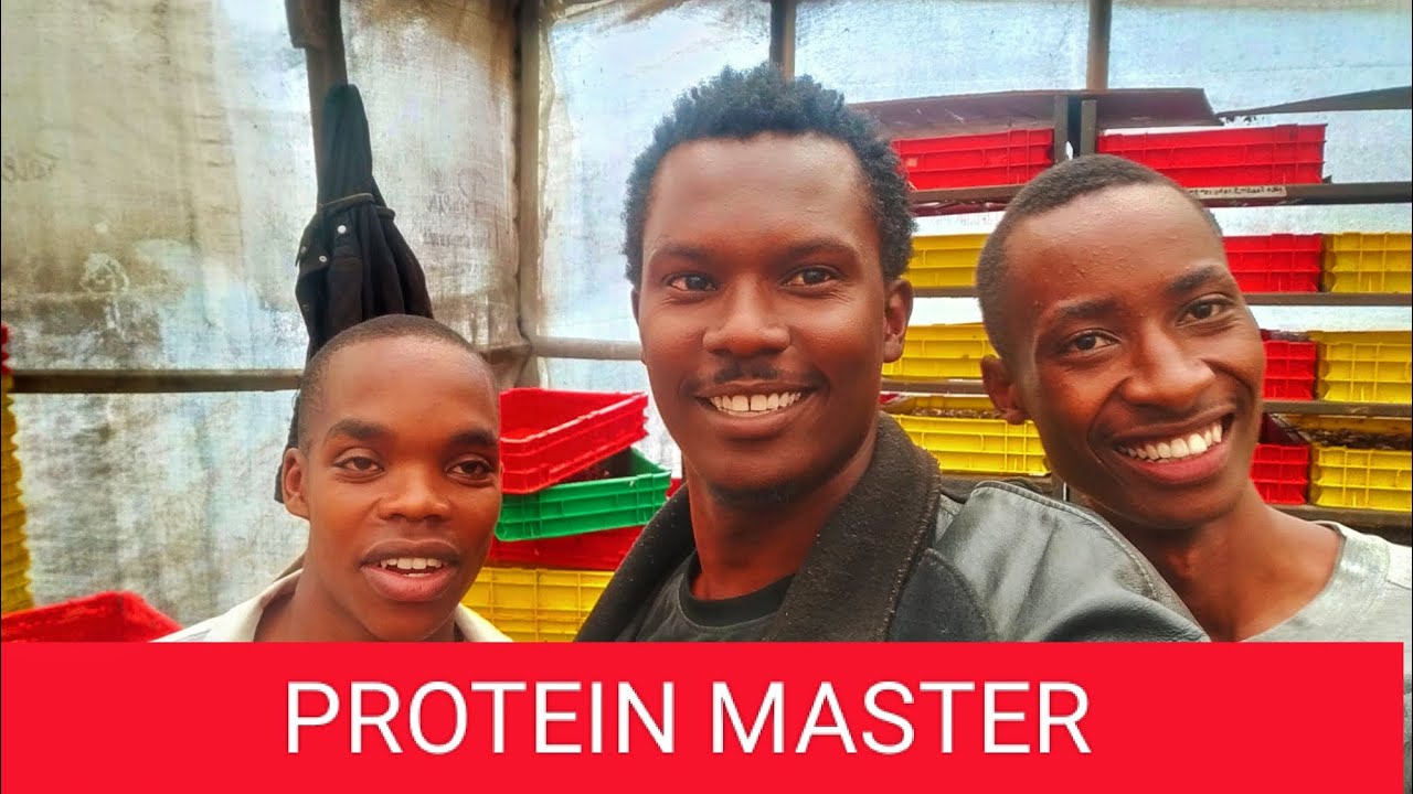 PROTEIN MASTER TURNING WASTE TO WEALTH 🤑@iammarwa @IreneZab @ItsNasto ...