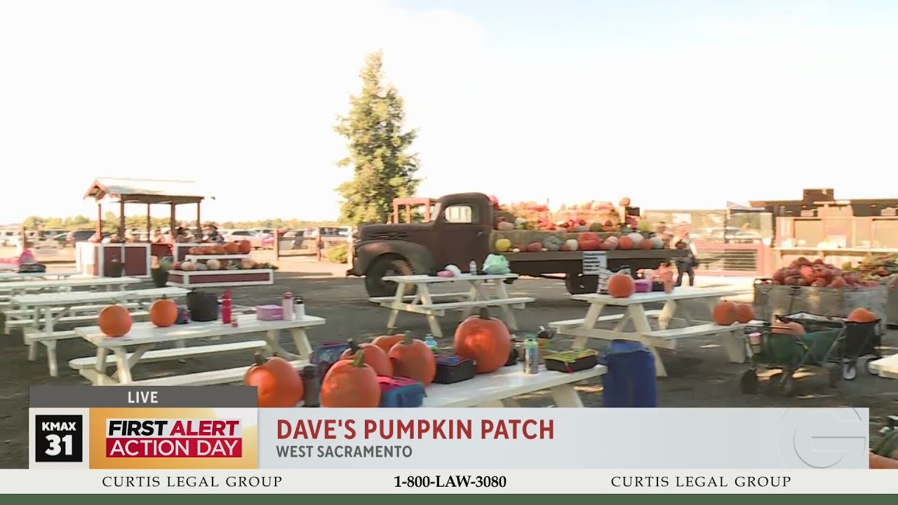 Fall fun at Dave's Pumpkin Patch! - YouTube