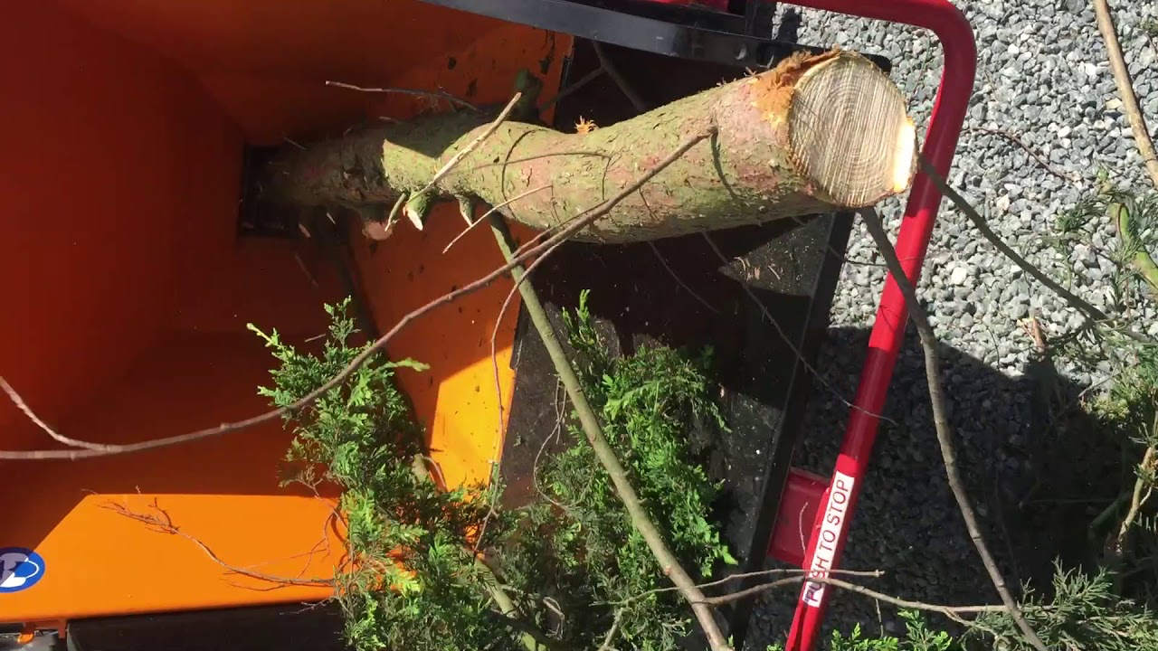 Forst ST6P Petrol Wood Chipper Demo By TH Tree Services - YouTube