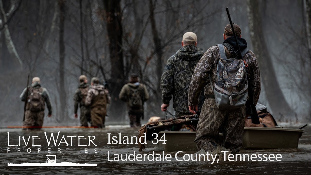 Island 34 | Tennessee Land for Sale - YouTube