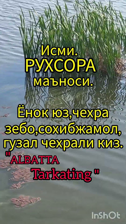 исми Рухсора маъноси. #nature #шортс #surrah #тикток #суралар #каран ...