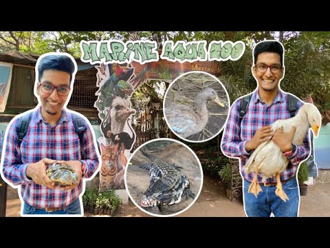 Marine Aqua Zoo Near Dadar Station Mumbai - YouTube