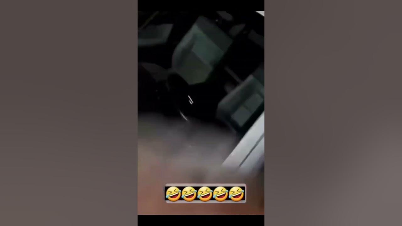 پرنده های کون گشاد😂😂😂 خنده فان خنده دار طنز Reels Youtube