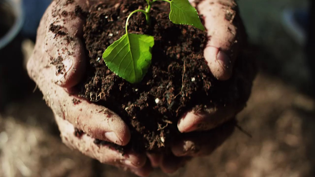 The Nature of Stewardship - YouTube