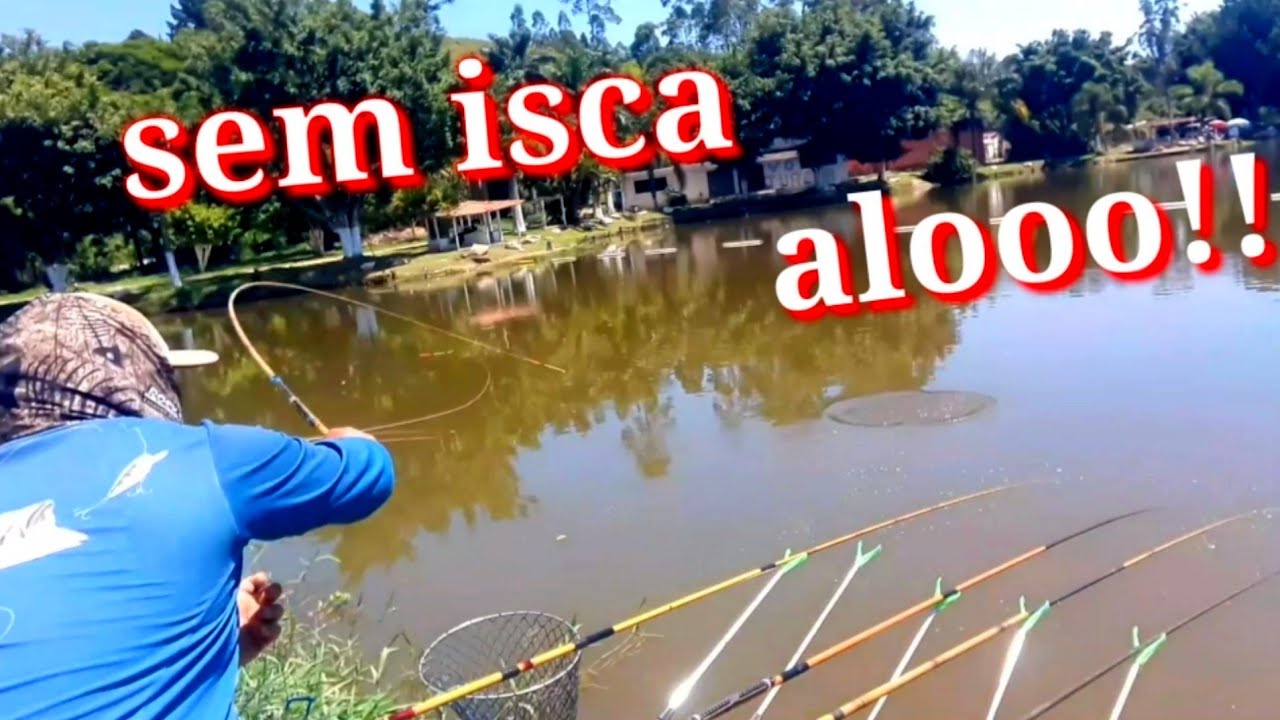 pescaria de tilapias só na seva , técnica arame farpado do tilapeiro ...