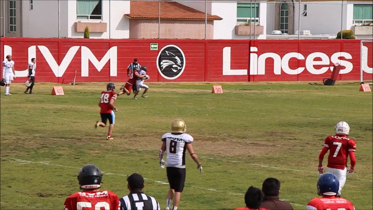 Linces UVM Toluca Novatos vs Veteranos 10 FEB 2018 - YouTube