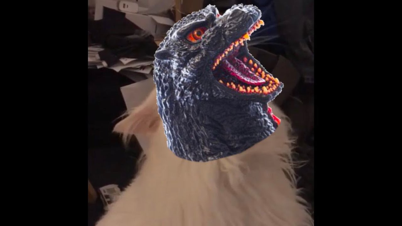 White Cat Meowing Meme, But Every Meow Is Godzilla's Roar - YouTube