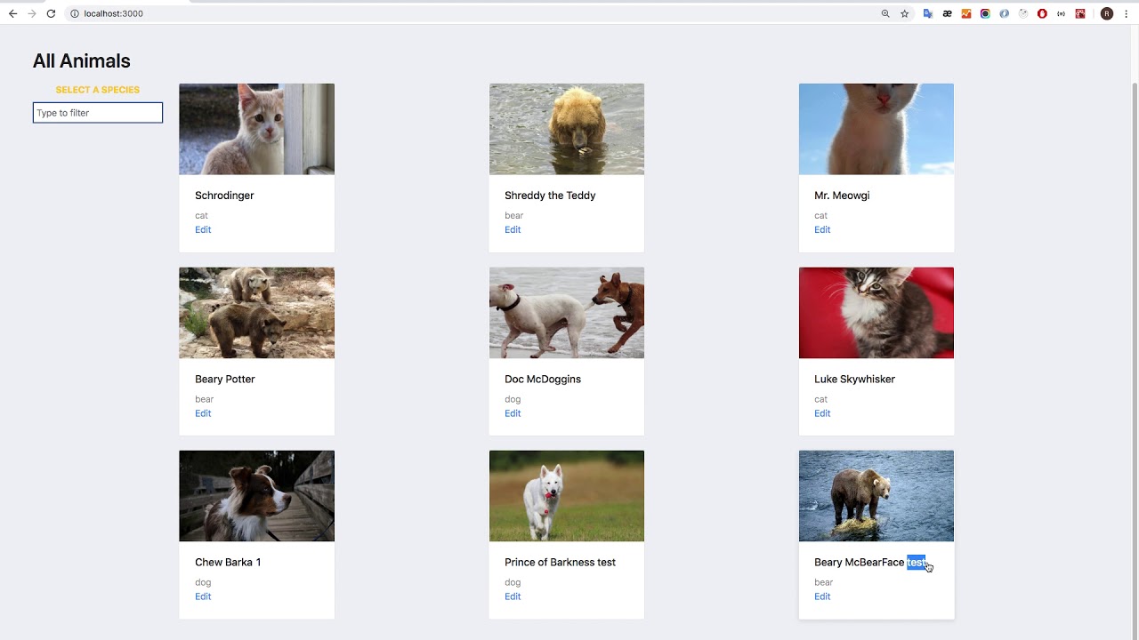 Animals application - YouTube