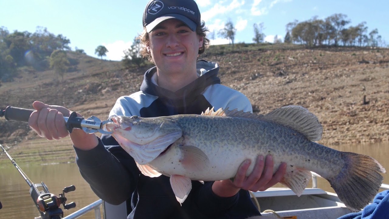 Wyangala fishing Cod and Yellowbelly - YouTube