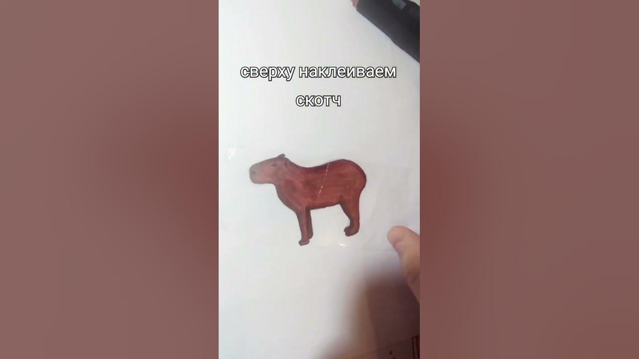 делаю наклейку капибару из бумаги🦦 #наклейки #стикеры #рекомендации # ...