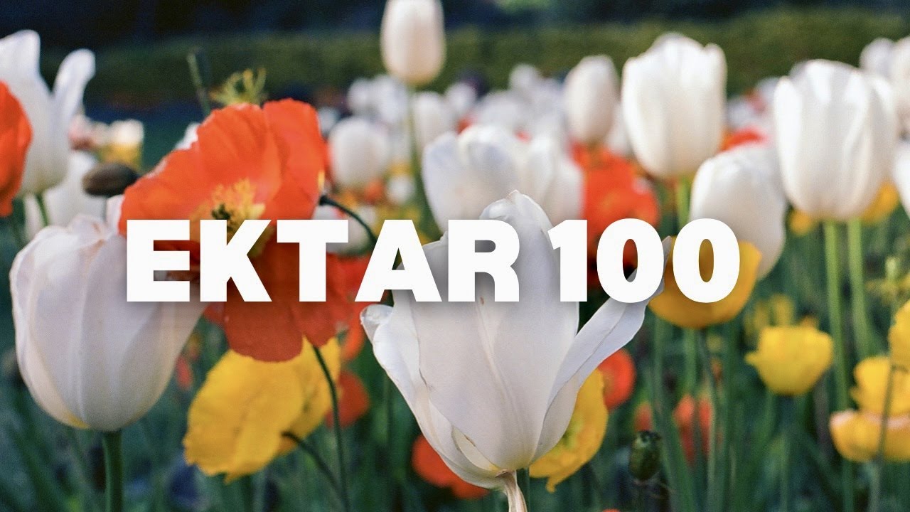 Kodak Ektar 100 - Shooting with my Canon AE1 Program - YouTube