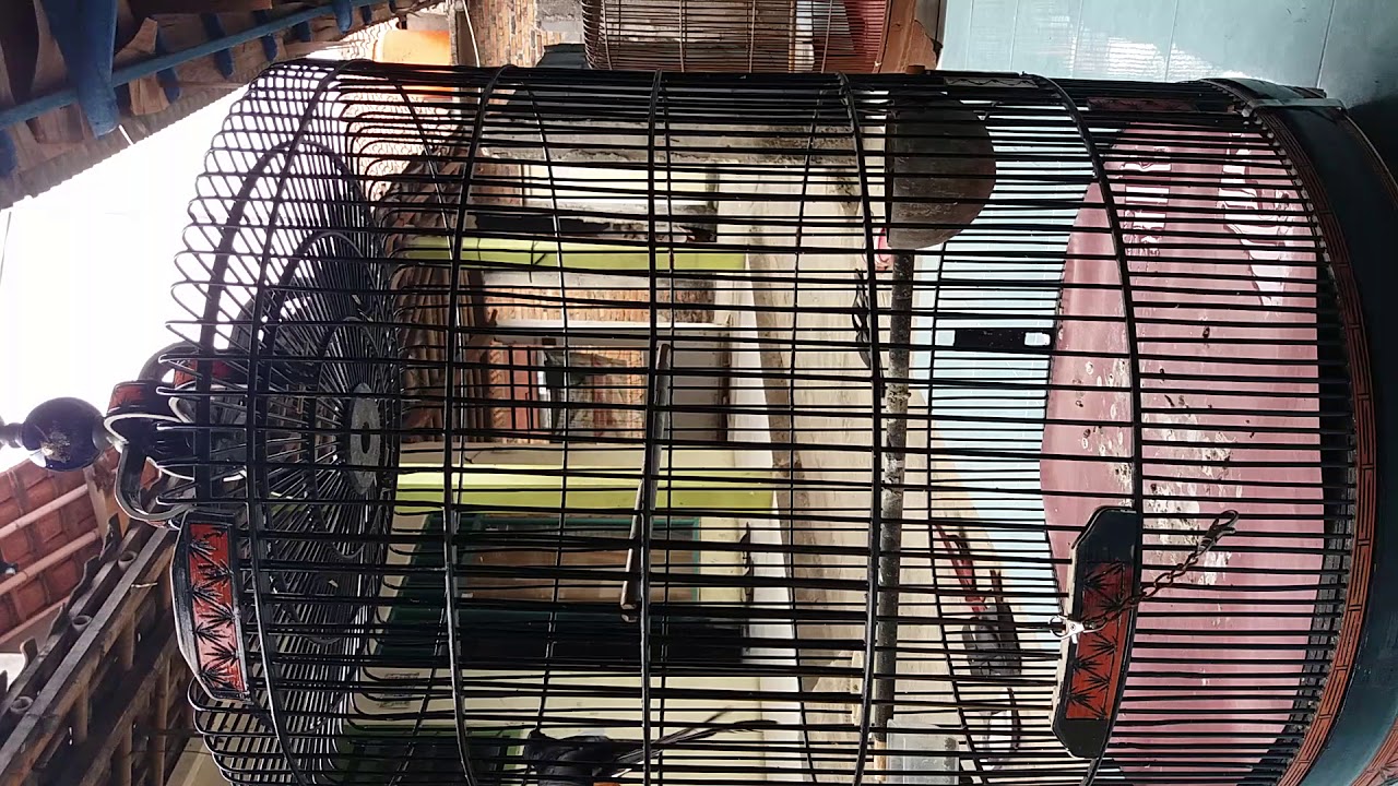 Mb balak 6 - YouTube