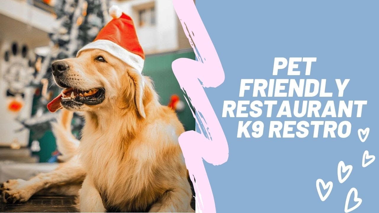 Pet Friendly Restaurant - K9 Restro Furry Tales - Mangalore - YouTube
