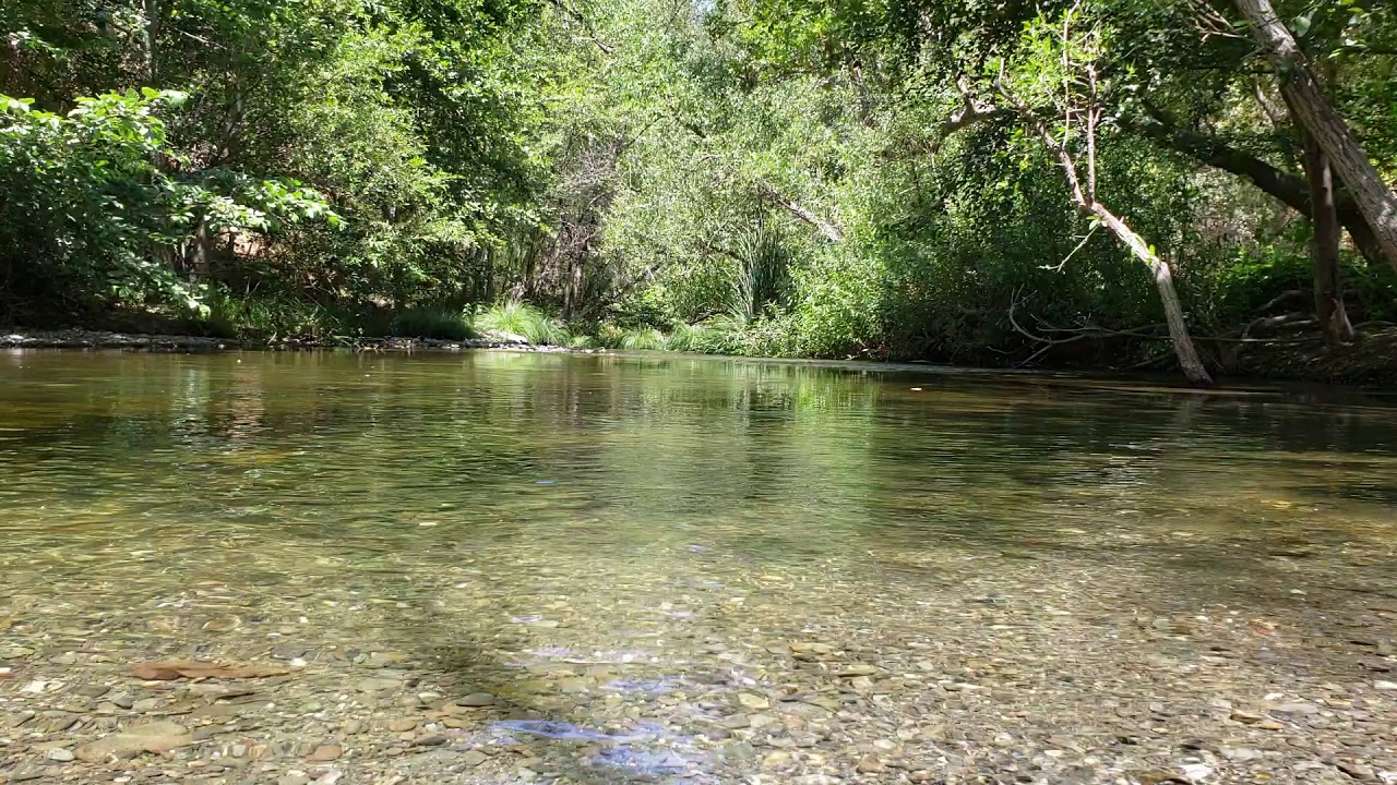 Clip : Sunol Regional Wilderness Park, CA - YouTube