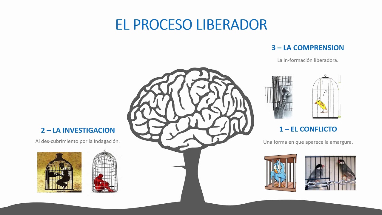 AGENCIADIGITALCASTELLON PRESENTACION EL PROCESO LIBERADOR - YouTube