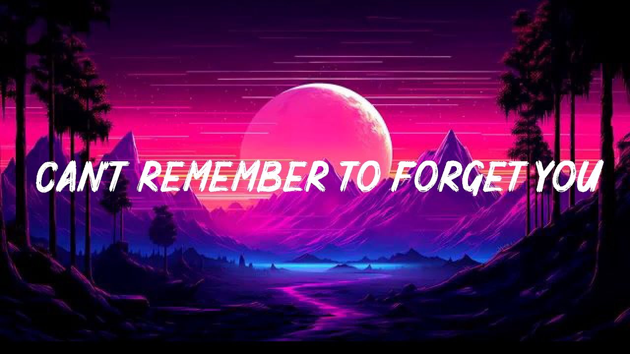 Can't Remember to Forget You (Lyric) - Shakira - YouTube