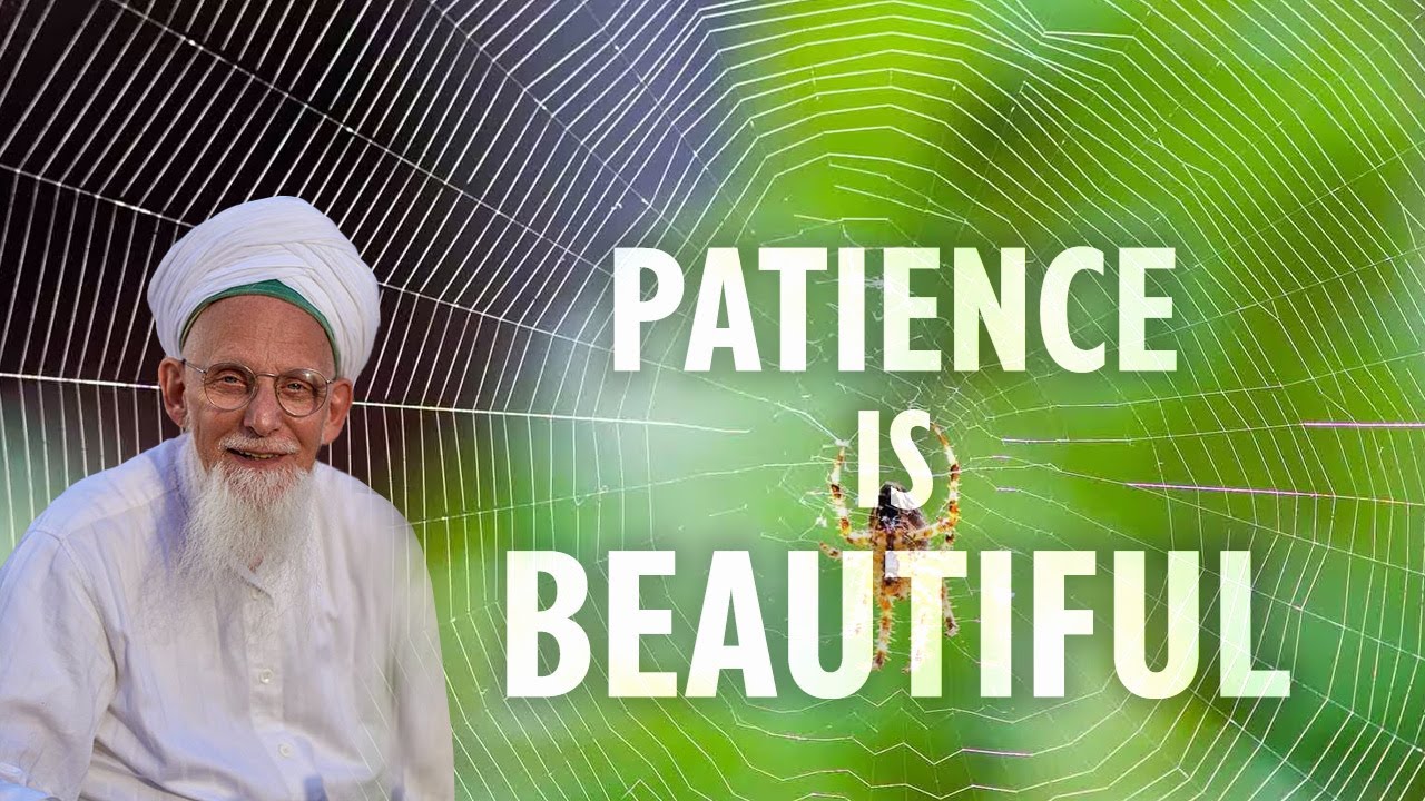Patience is Beautiful - YouTube