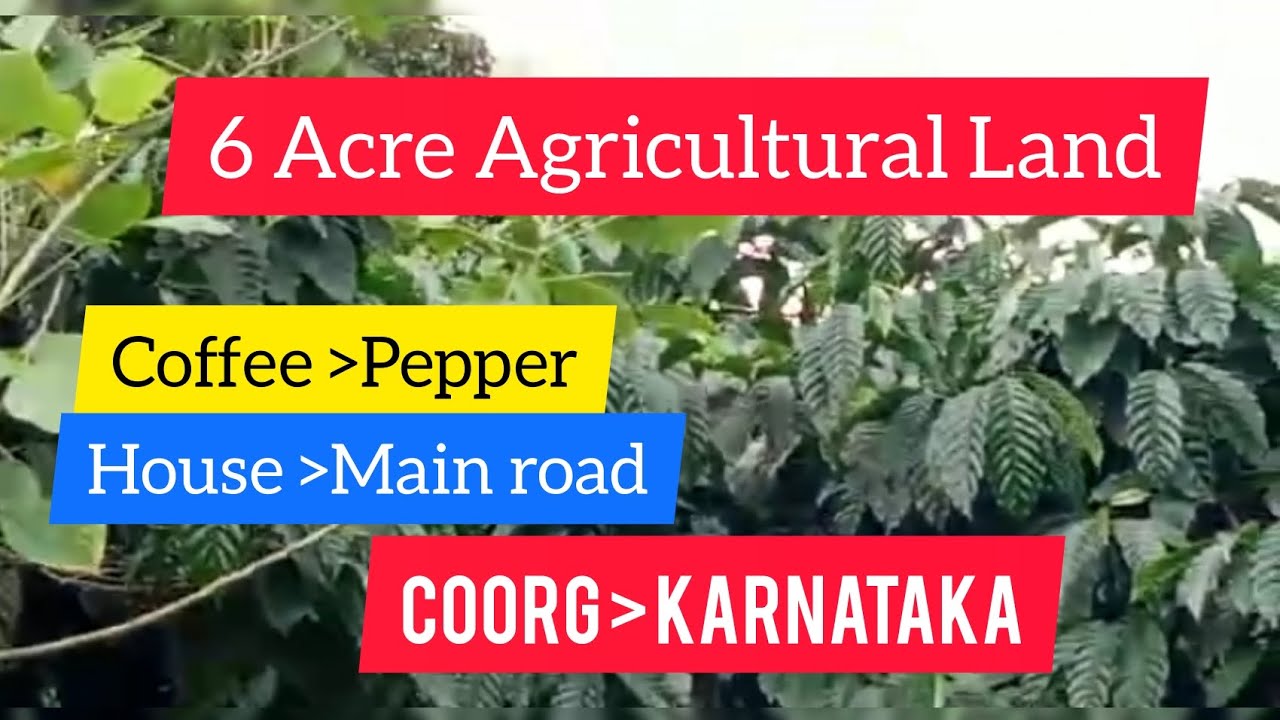 6 Acre Coffee Agricultural Farm Land For Sale | Coorg | Karnataka - YouTube