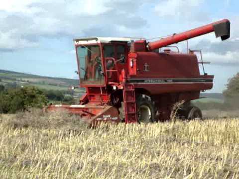 international 1460 axial flow - YouTube