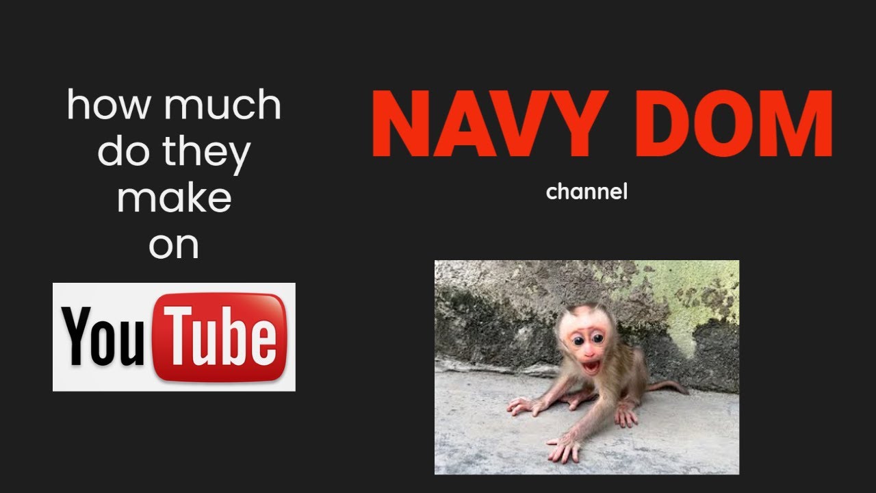How Much Does NAVY DOM Make On YouTube YouTube How Much Does NAVY DOM Make On YouTube YouTube