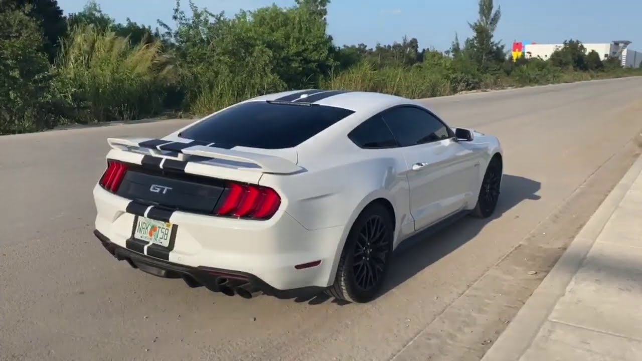 2019 Mustang GT 10R80 with Steeda H-Pipe installed. - YouTube