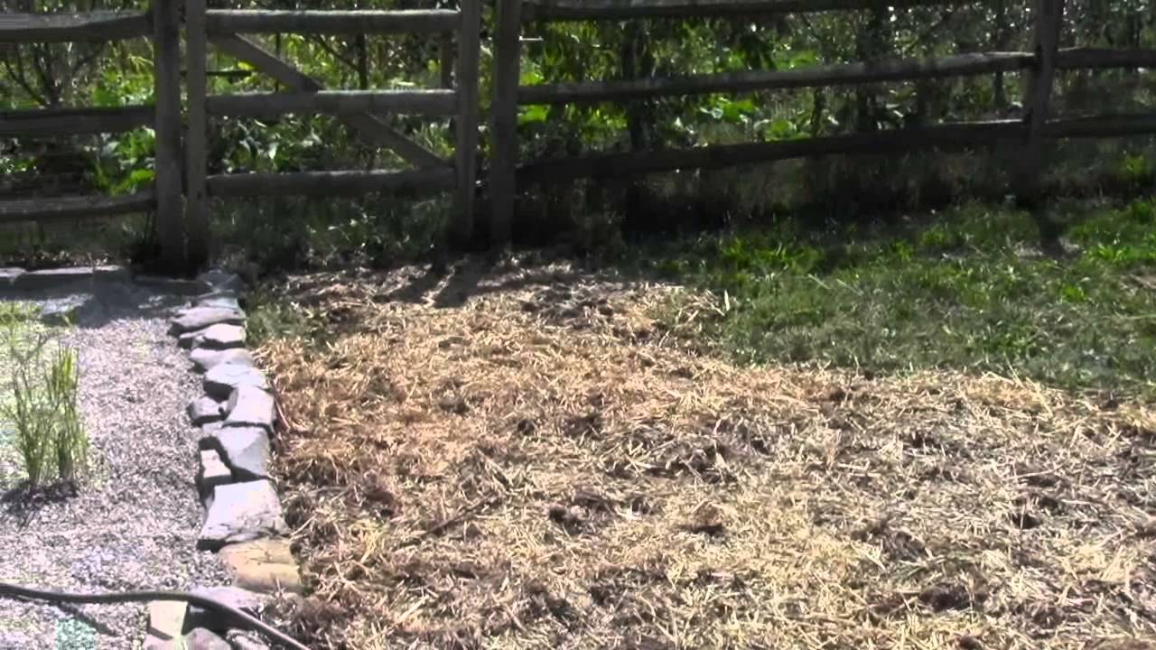 Grey Water Wetland & Silt Pond Project Part 2 - YouTube