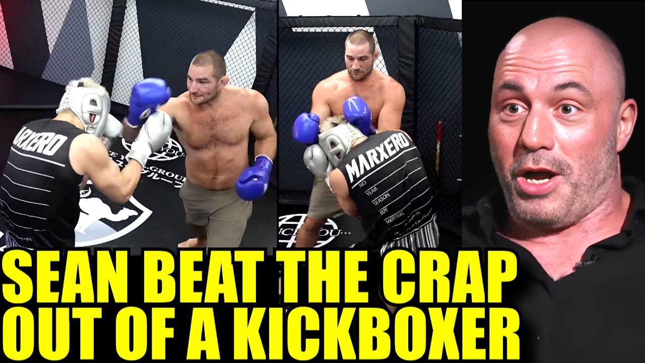 Sean Strickland just got his NEW SPARRING Victim,Sean OMalley vs Merab ...