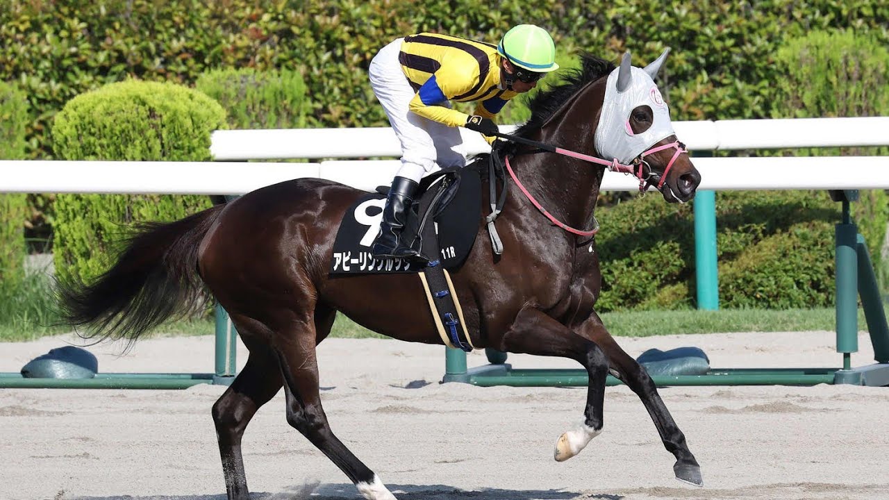 🏇🔥アピーリングルックが名古屋大賞典で衝撃V！不良馬場レコードで初重賞制覇🔥🏇 - YouTube