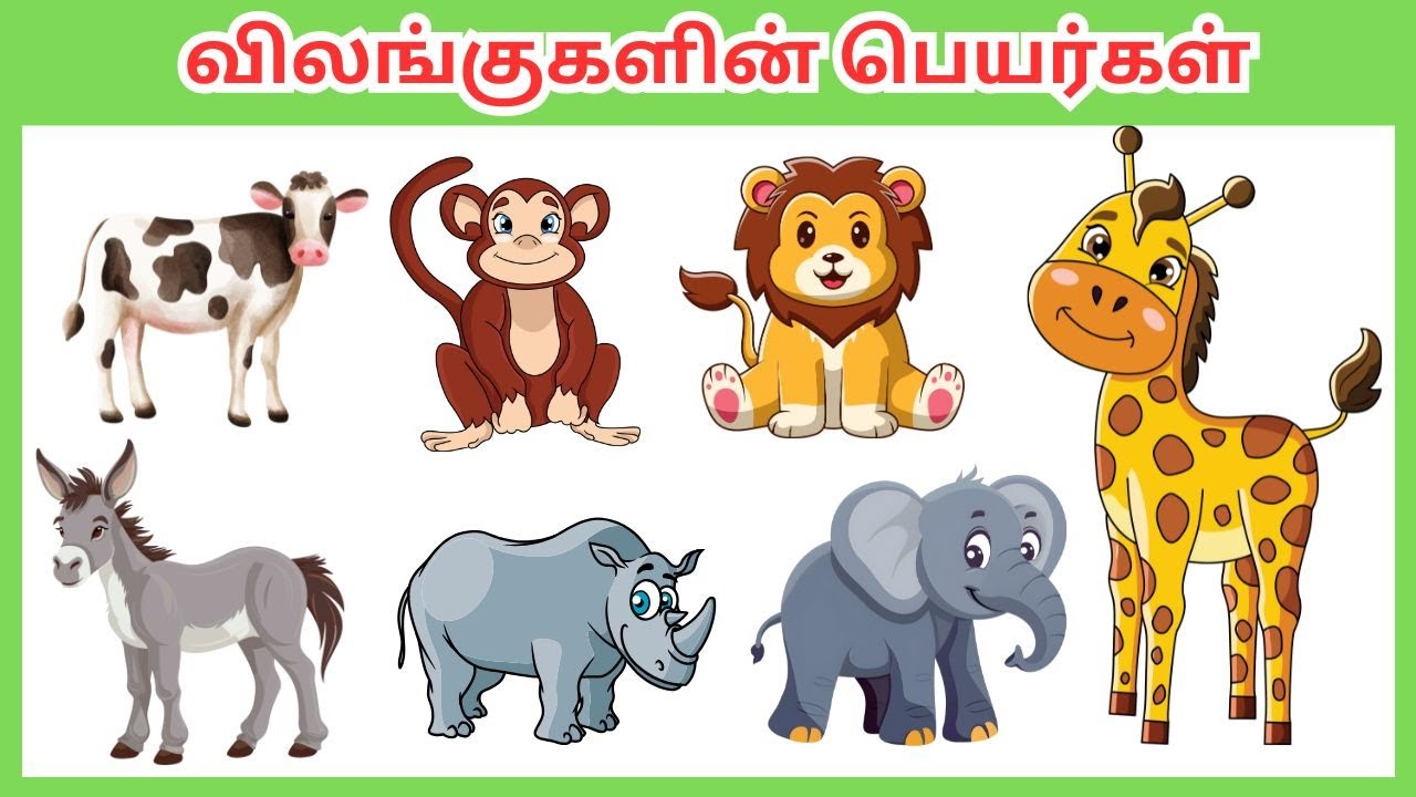 Learning Animal Names in Tamil | Animal Names | Farm Animals | Wild ...