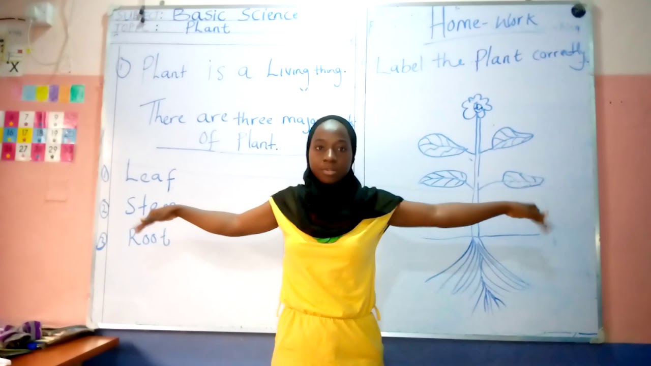 Basic Science Youtube 2961
