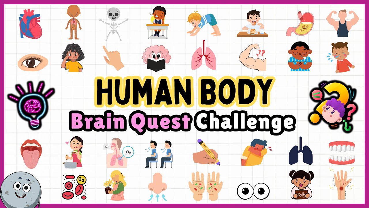 Brain Quest Challenge - Human Body for Kids - YouTube