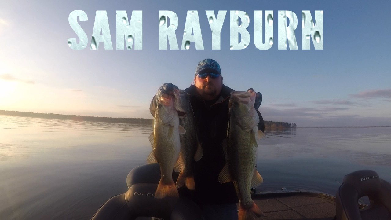 FEBRUARY BASS FISHING SAM RAYBURN - YouTube