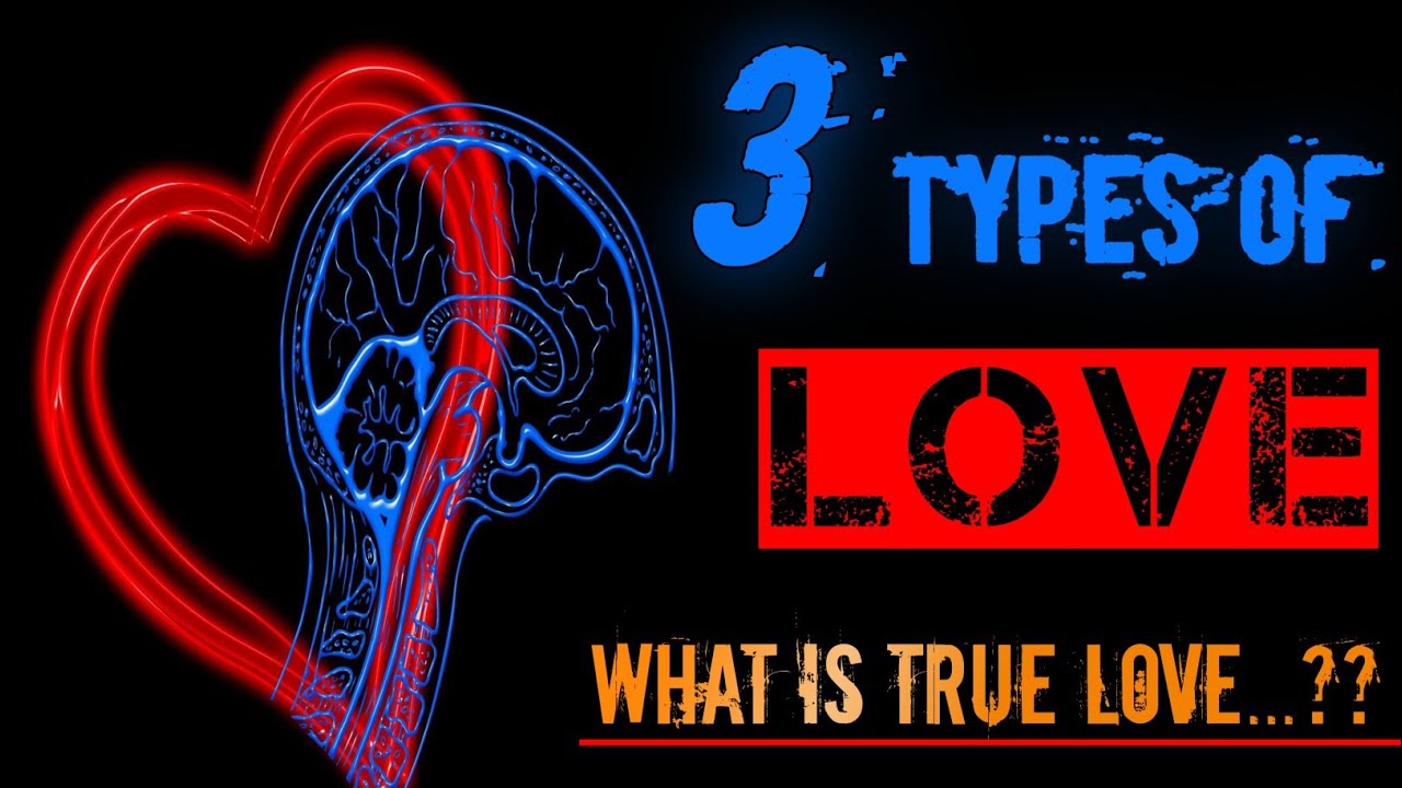 3 Types Of Love ️ || What Is True Love...?? || Psychology Of Love ...