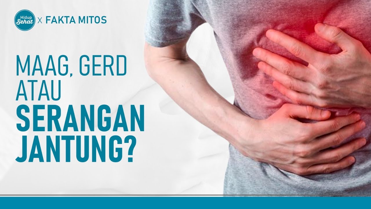 Maag, Gerd, atau Serangan Jantung? Ini Bedanya | Hidup Sehat tvOne ...