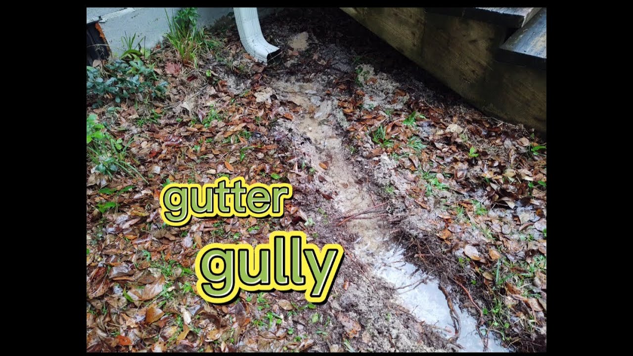 gutter gully - YouTube