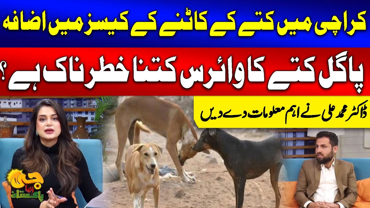 Dog Bite Cases Increase in Karachi | How Dangerous is Rabies Virus? | Dr. Muhammad Ali | GTV ...