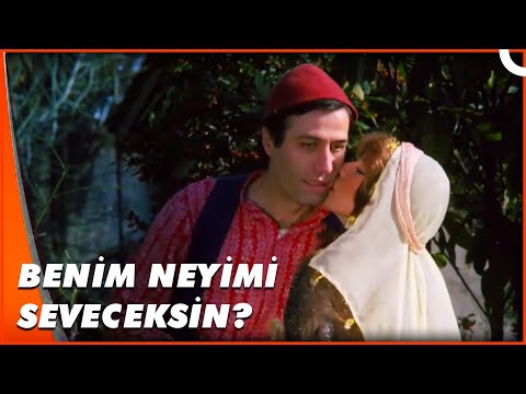 Nigar'ın Evindeki Koklanmamış Gül | Kanlı Nigar