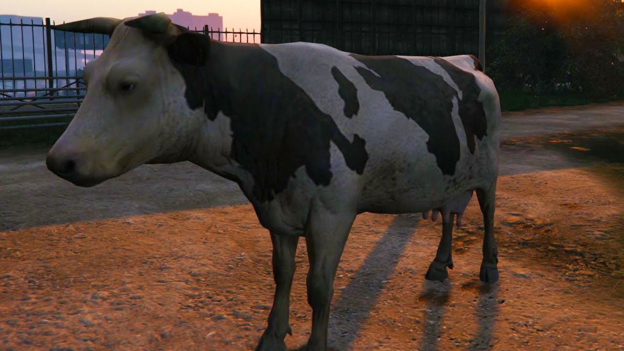 Play As A COW In GTA 5 PS4 Peyote HD - YouTube