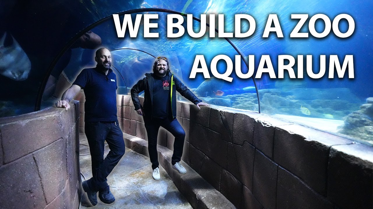 HOW TO BUILD A ZOO AQUARIUM - New Wave Concepts meets Sea Life - YouTube