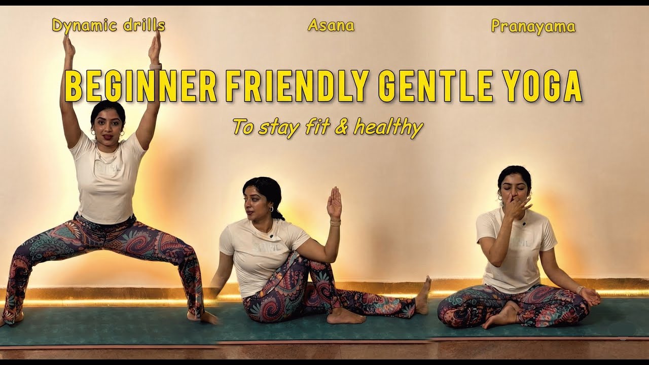 Beginner-friendly seated yoga with twists + gentle backbends to support ...