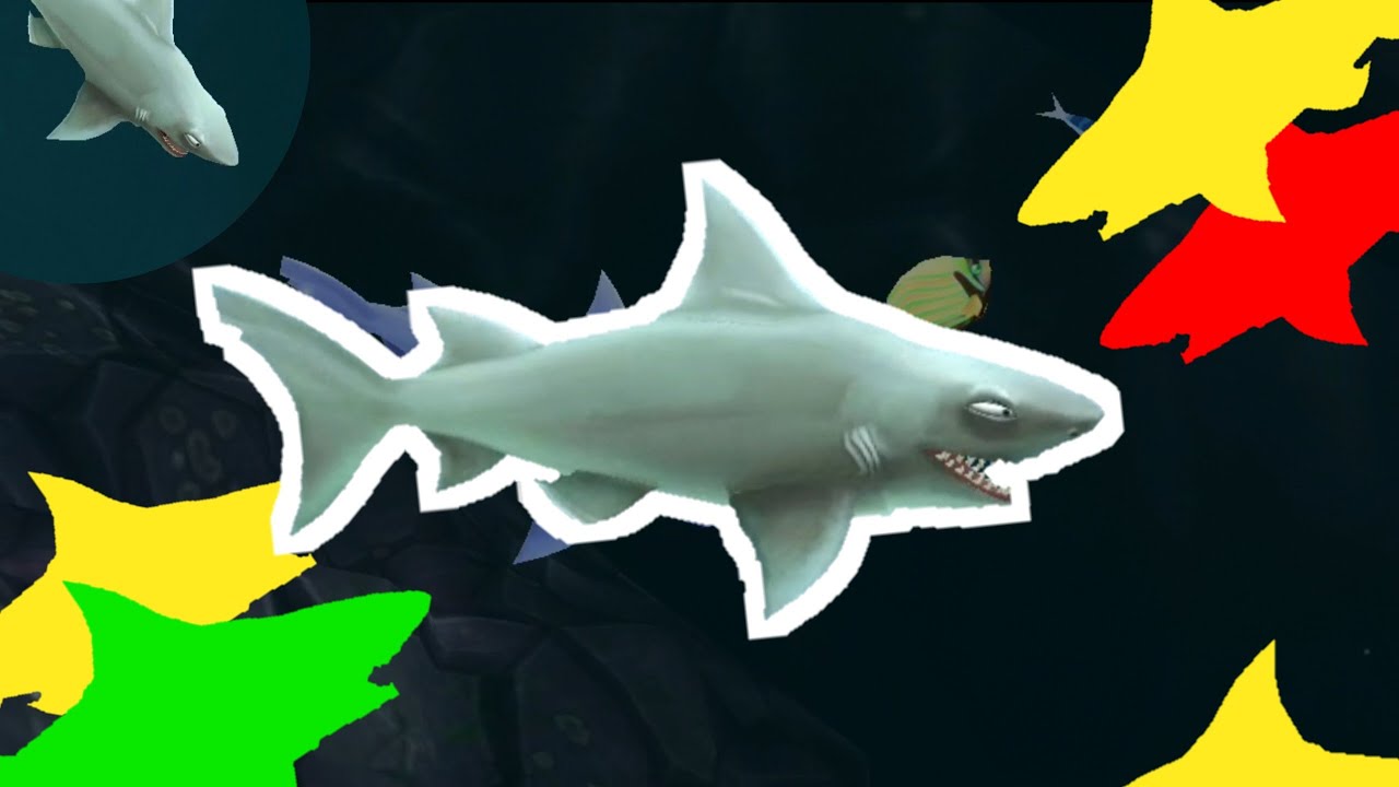 BABY SHARK GAMES ( GAME IKAN HIU ) GAMEPLAY HUNGRY SHARK🦈 - YouTube