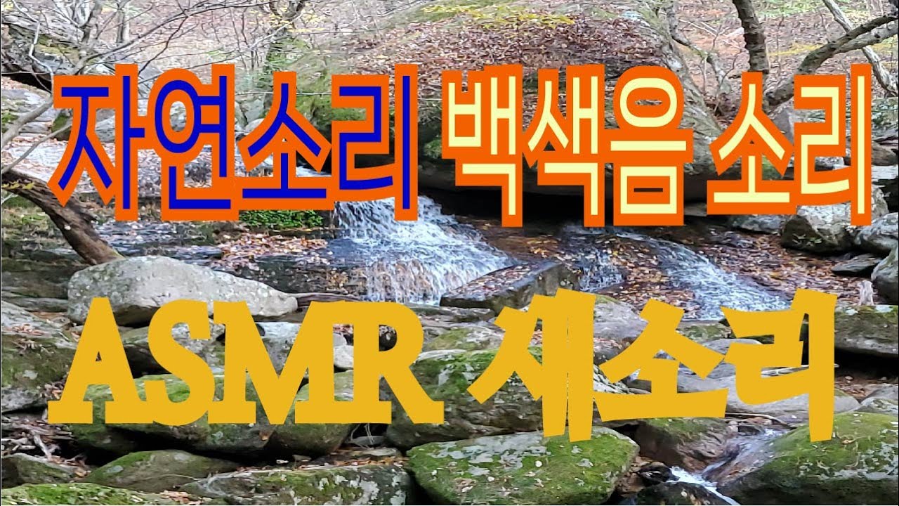 편안한 잠 백색 소음 Asmr 물소리숲속 새소리 숙면 자연소리와 뇌파에 집중 불면증을 치유릴렉스한 소리와 숲냄새는 긴장을 풀고 수면 유도가 됩니다 이명 치유하는
