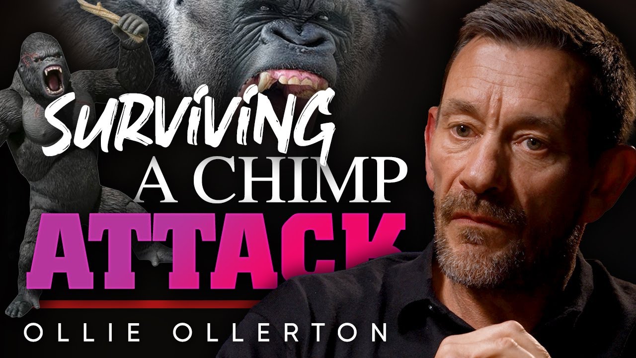 Surviving a Chimp Attack: The Brutal Reality of Human-Wildlife ...