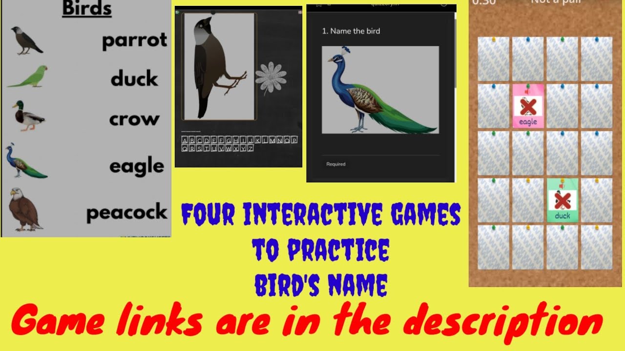 Interactive games / To practice bird's name / Holiday assignment ...
