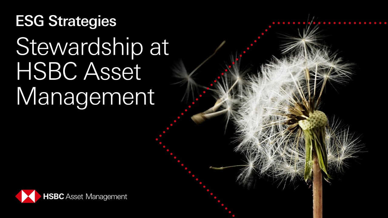 Stewardship at HSBC Asset Management - YouTube