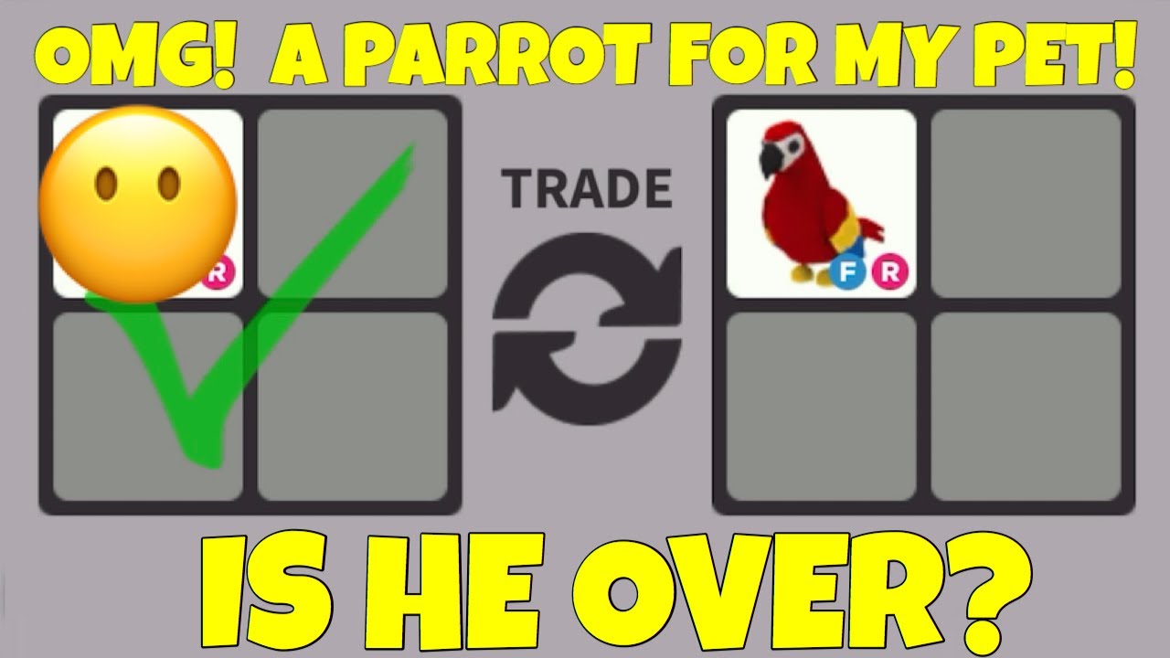 OMG! A Parrot For My Pet! He Confirmed! Should I Do This Trade In Rich ...