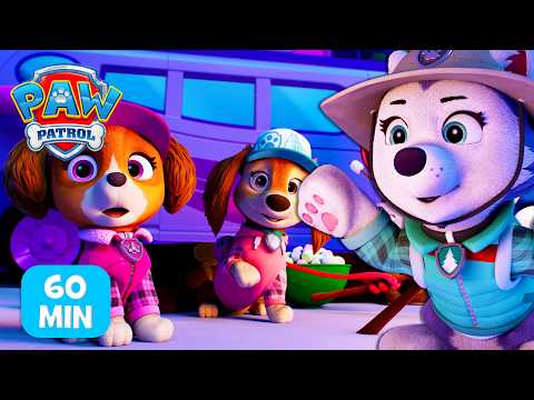 Die Mädchen machen einen arktischen Campingausflug! ⛺🐻 | PAW Patrol Auf Deutsch