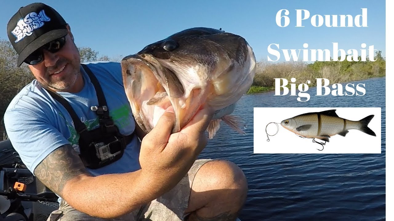 Big Swimbaits Catch Big Bass.... {6 Pounder and 5 Pounder} - YouTube