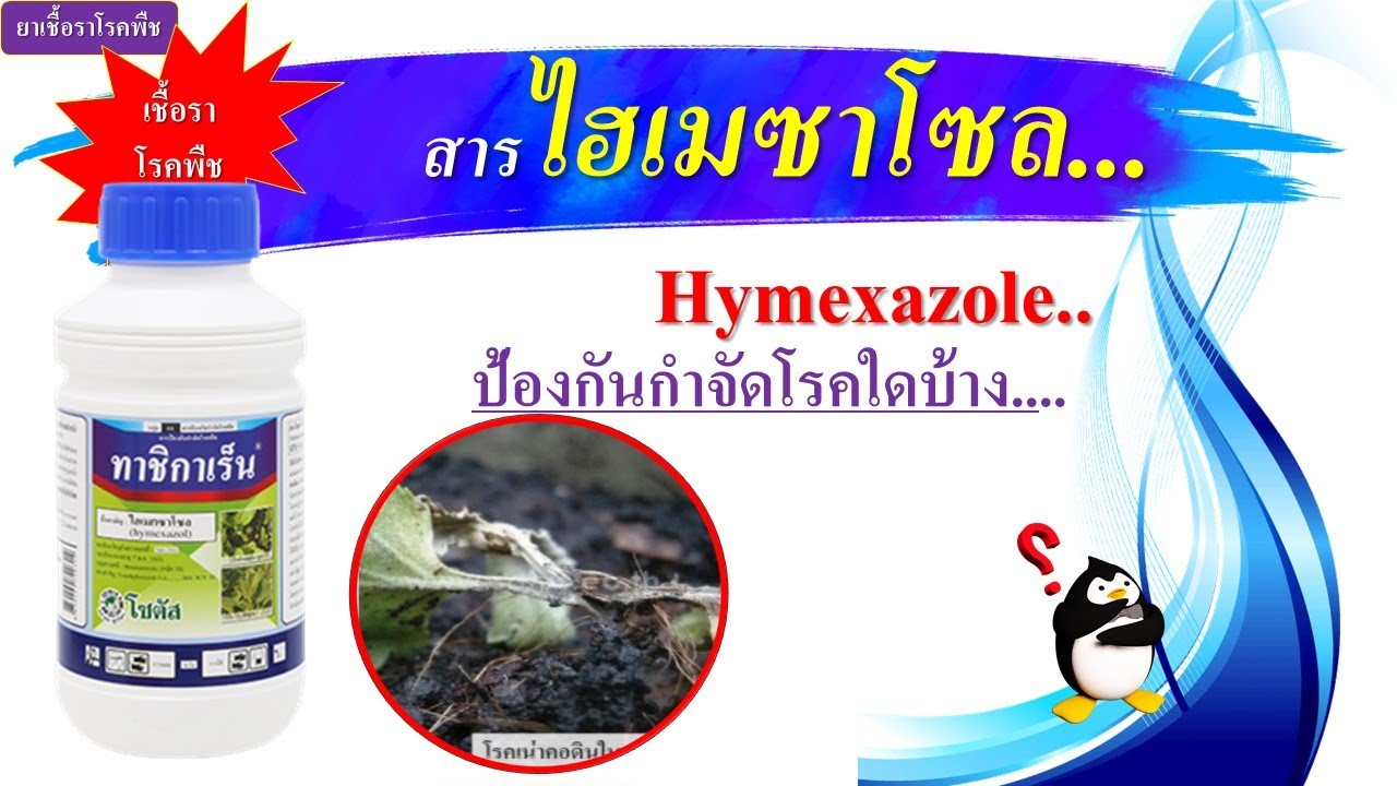 สารไฮเมซาโซล( Hymexazole) กำจัดโรคพืช ...สารดูดซึม (ก่งโรคราเน่า โคน ...