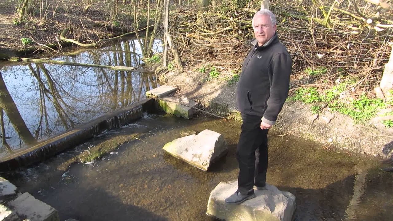 Film Große Laache Pulheim von Thomas Wehr mit Horst Engel - YouTube